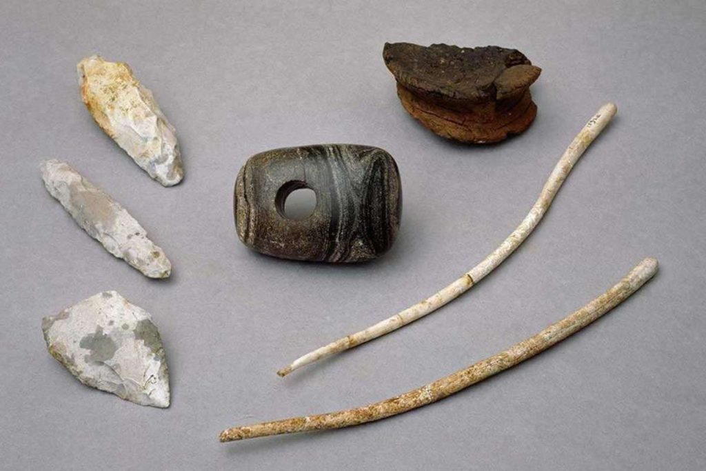 În China Au Fost Descoperite Oase Umane Din Epoca Neolitică Cu Urme De ...